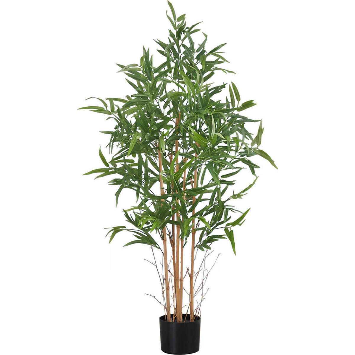 Bamboo Tree| Arctic Home Furnishings